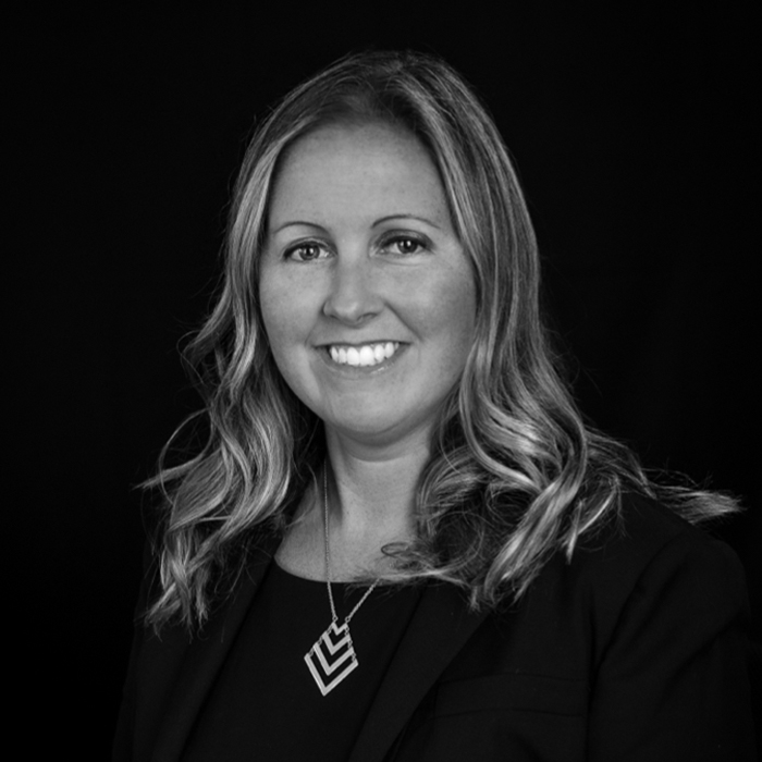 Luxury Real Estate Development Company | SHVO