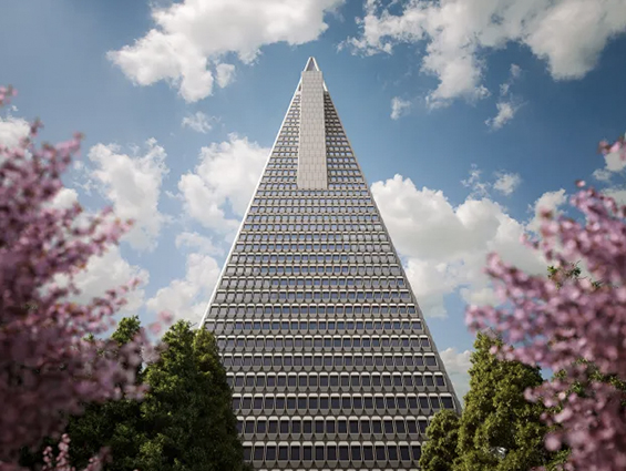 Can Michael Shvo Fill The Transamerica Pyramid By Doubling Its Rent? He ...